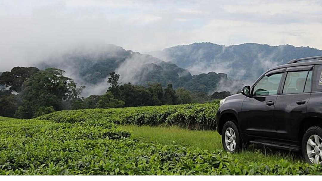Is it safe to drive in Rwanda - Freddy Car Rental